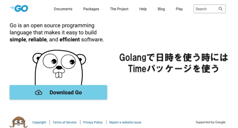 Golang Time Web 